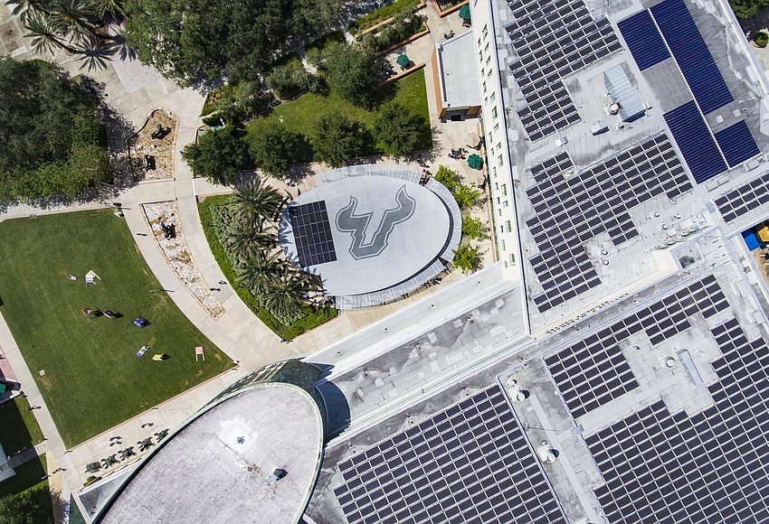 Student, class action lawsuit against USF over COVID fees heads to ...