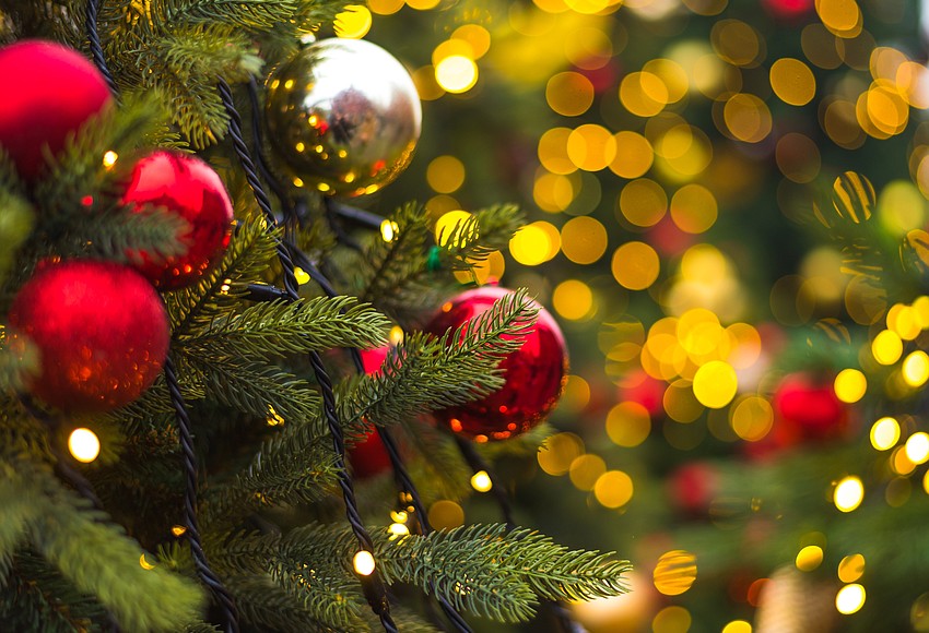 Community Christmas Concerts Scheduled West Orange Times Observer community-christmas-concerts-scheduled-west-orange-times-observer
