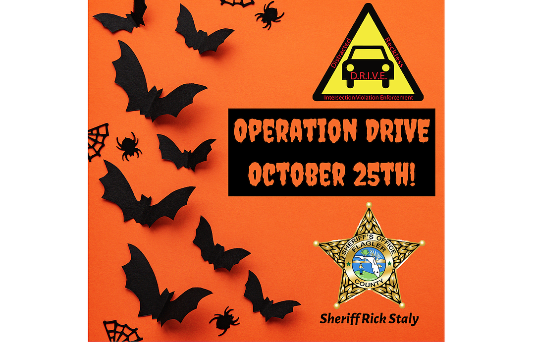 Operation DRIVE taking place in Flagler County | Observer Local News ...