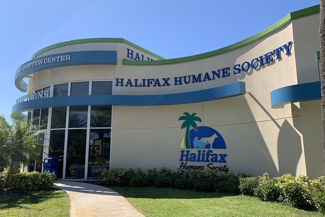 Halifax Humane Society appeals to community to help with critical ...