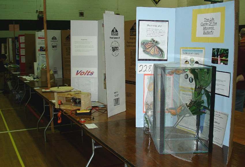 The 56th Tomoka Regional Science and Engineering Fair will be held Jan ...