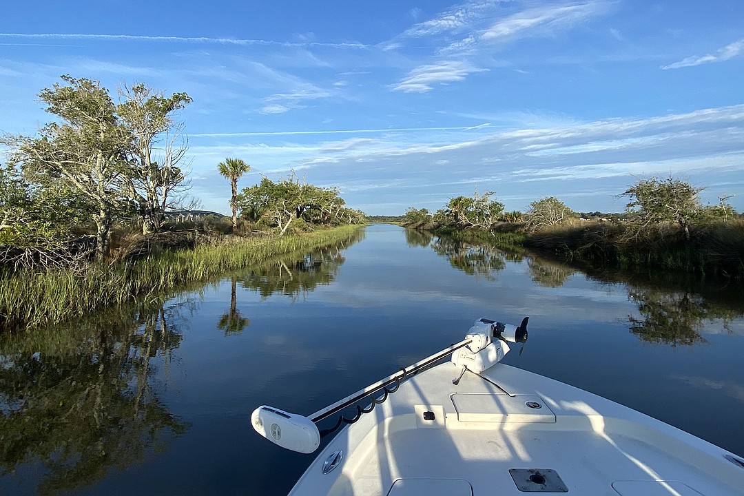North Florida Land Trust buys nearly 219 acres along Intracoastal ...