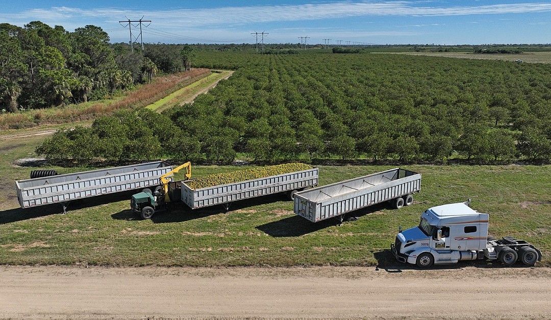 5,500 acres primed for residential development hit market for $58M ...