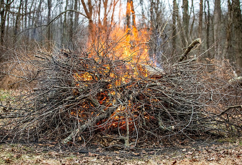 Orange County burn ban in effect | West Orange Times & Observer