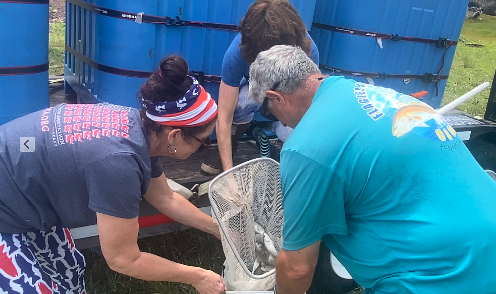 Local volunteers help CCA Florida release 10,000 redfish in area waters ...