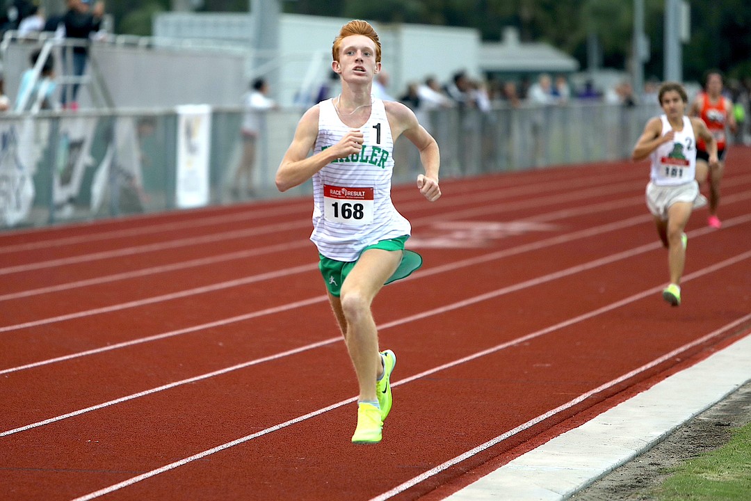 SIDELINES: Bulldogs hope to be in the hunt for a state track title ...