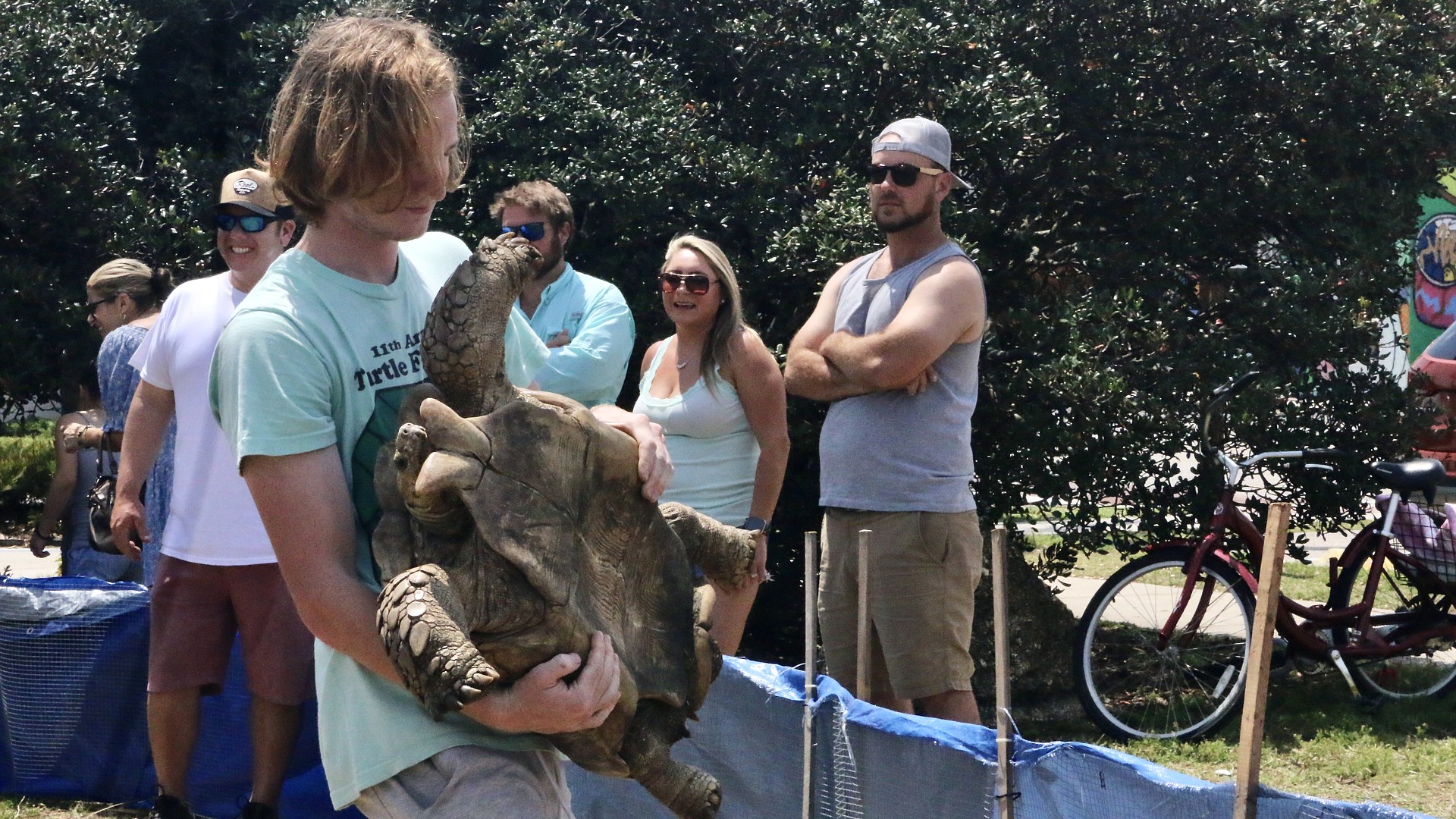 Turtle and tortoise fans take over for Turtle Fest | Observer Local ...