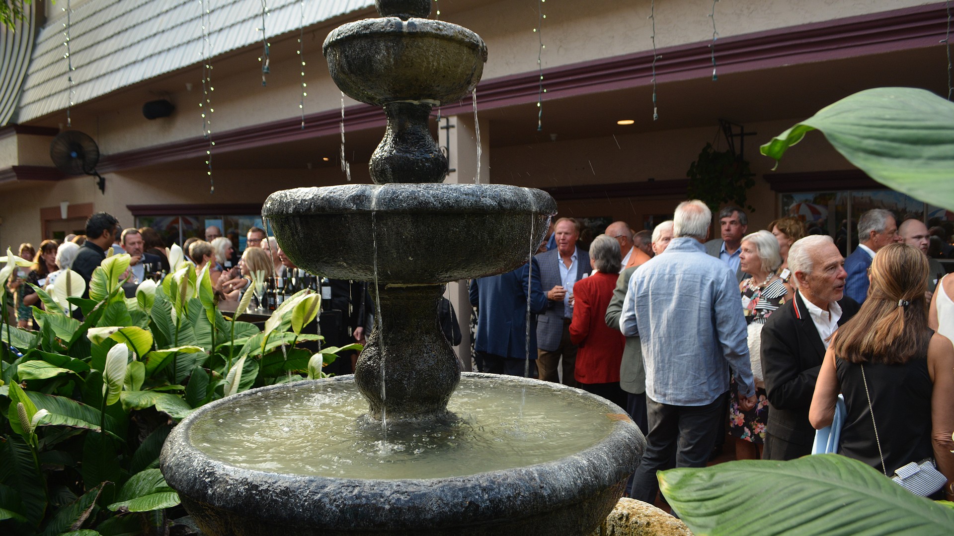 Save Our Seabirds soirée breaks records | Your Observer