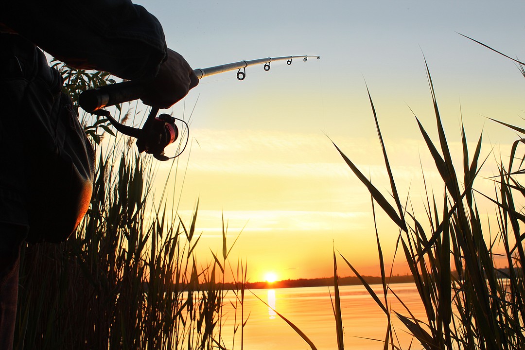 Hunting, fishing amendment goes to ballot | Observer Local News | Palm ...