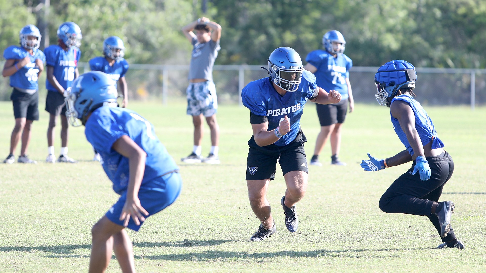 Tight end DeFalco provides imposing presence for Pirates | Observer ...