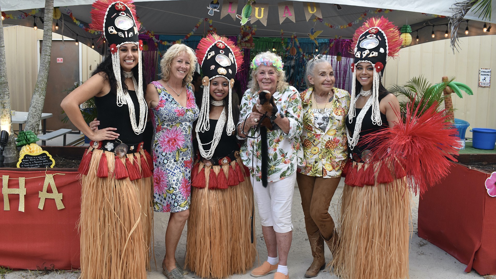 Animals and humans mingle at Big Cat Habitat's Liger Luau | Your Observer