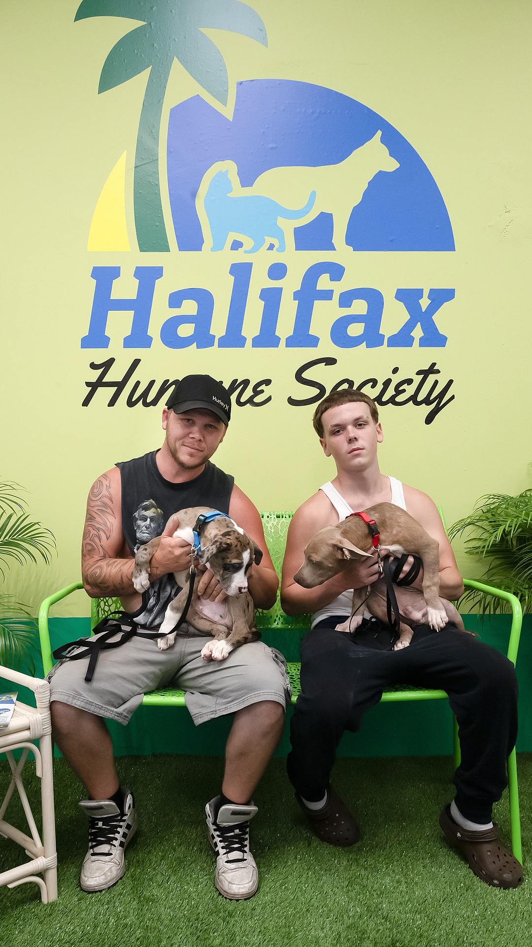 Shop and adopt: Halifax Humane Society holds Puppy Preview at the ...