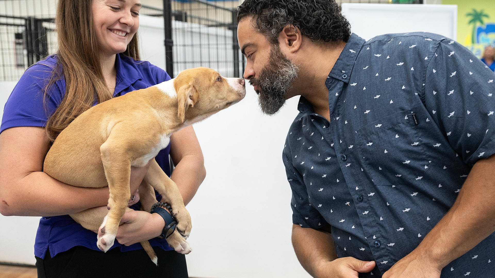 Shop and adopt: Halifax Humane Society holds Puppy Preview at the ...