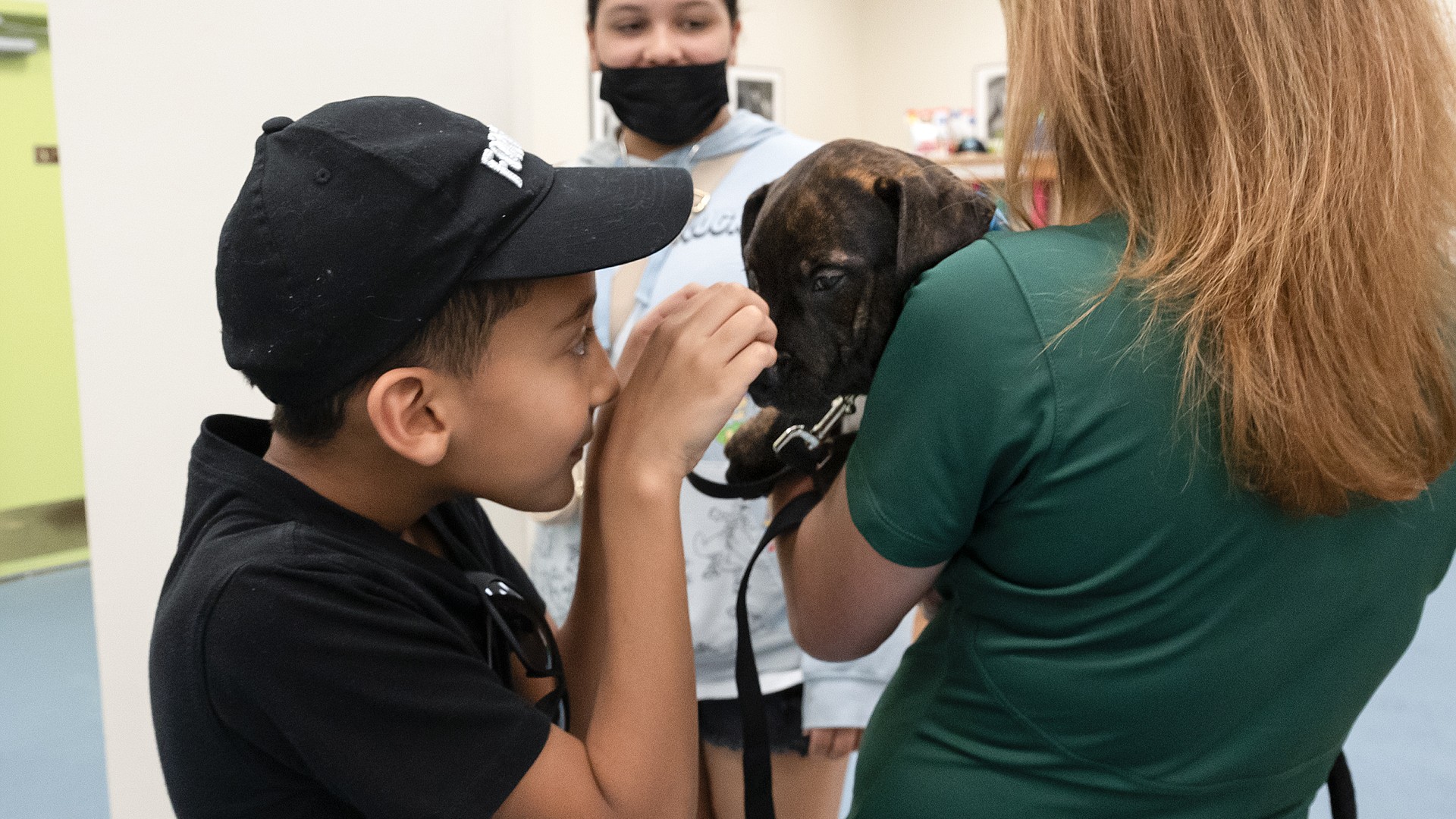 Shop and adopt: Halifax Humane Society holds Puppy Preview at the ...