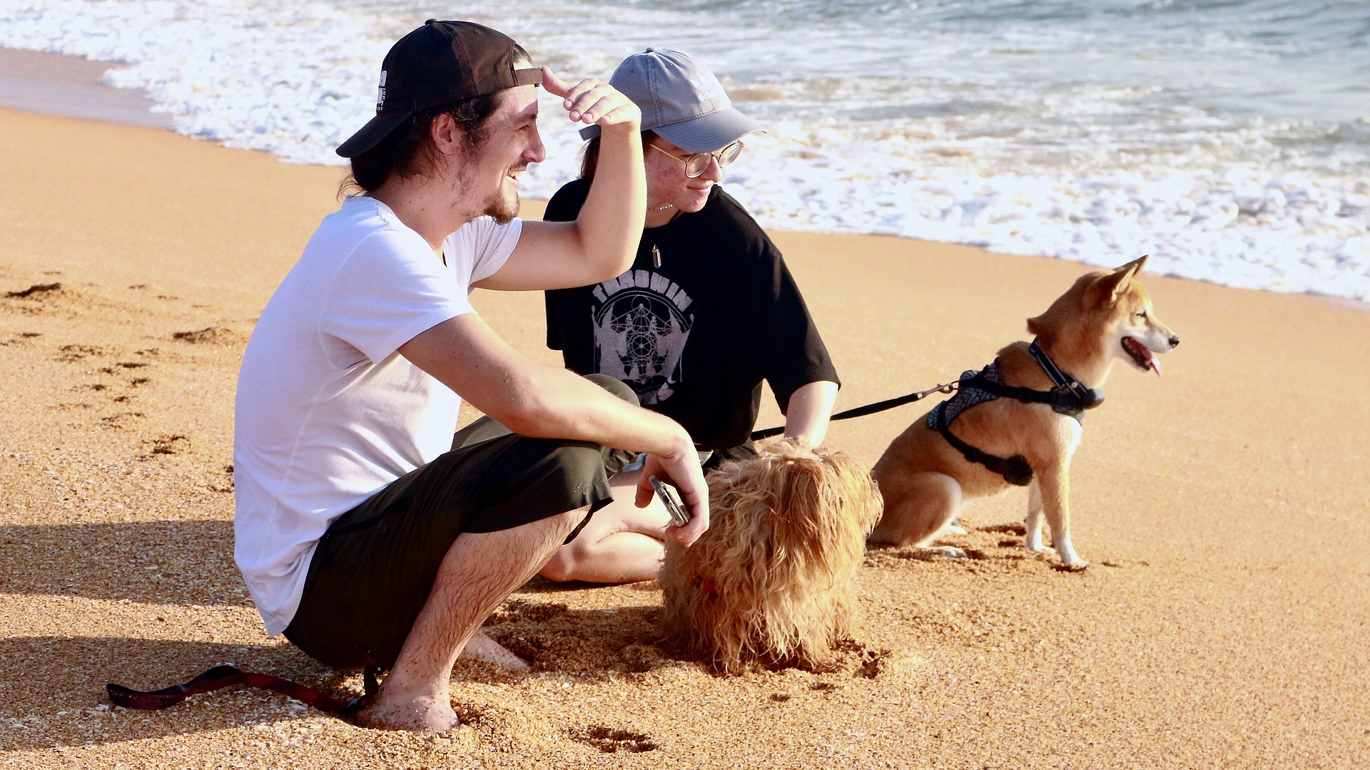 Turtle Power: Turtle Patrol volunteers check empty nests for surviving ...