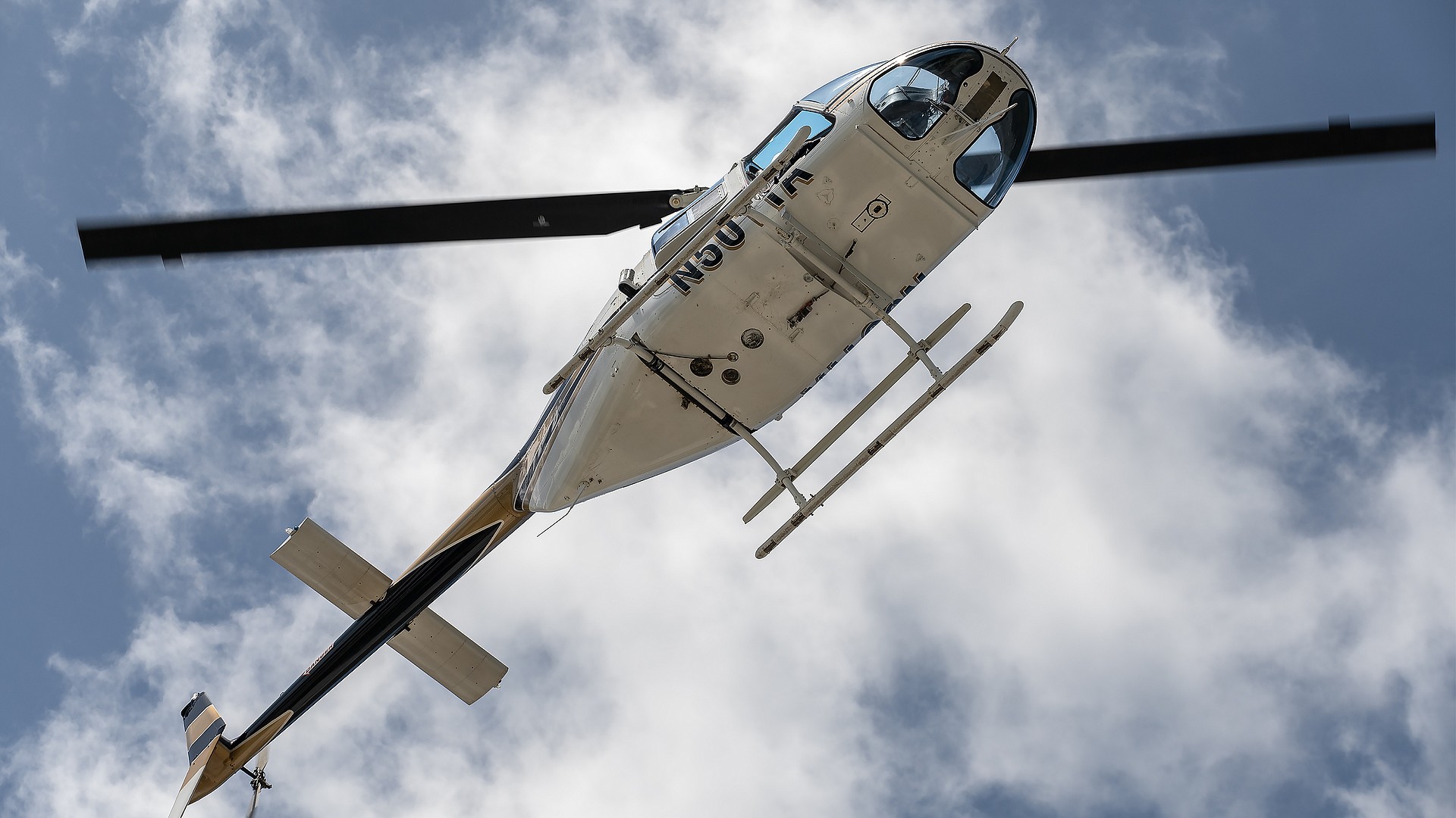 Duck drop a success at the Elks Lodge | Observer Local News | Palm ...