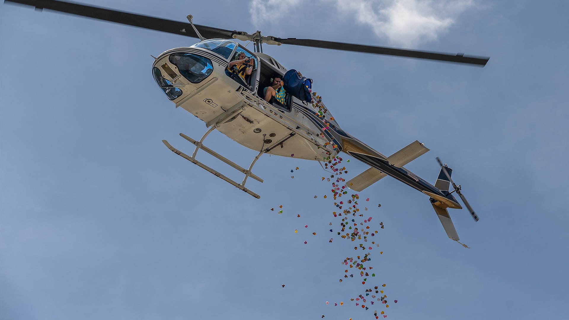 Duck drop a success at the Elks Lodge | Observer Local News | Palm ...