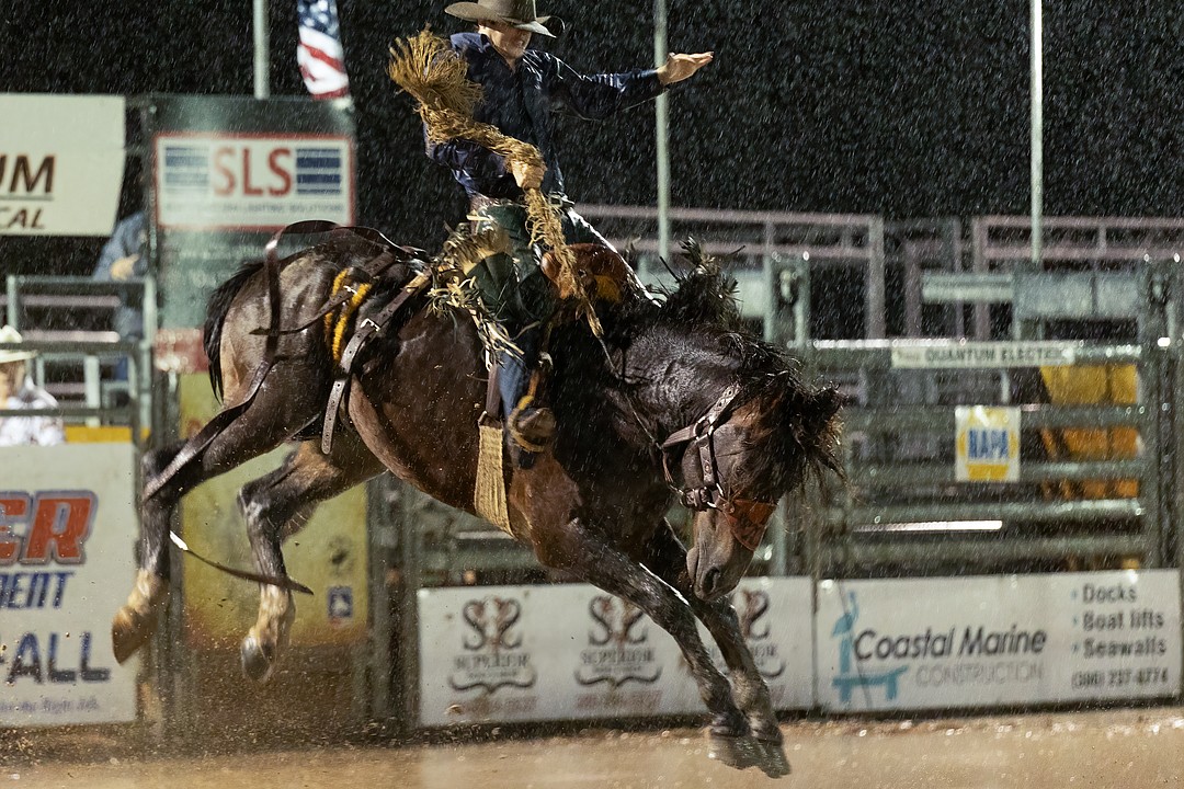 Pro Rodeo draws crowds despite weekend rains | Observer Local News ...