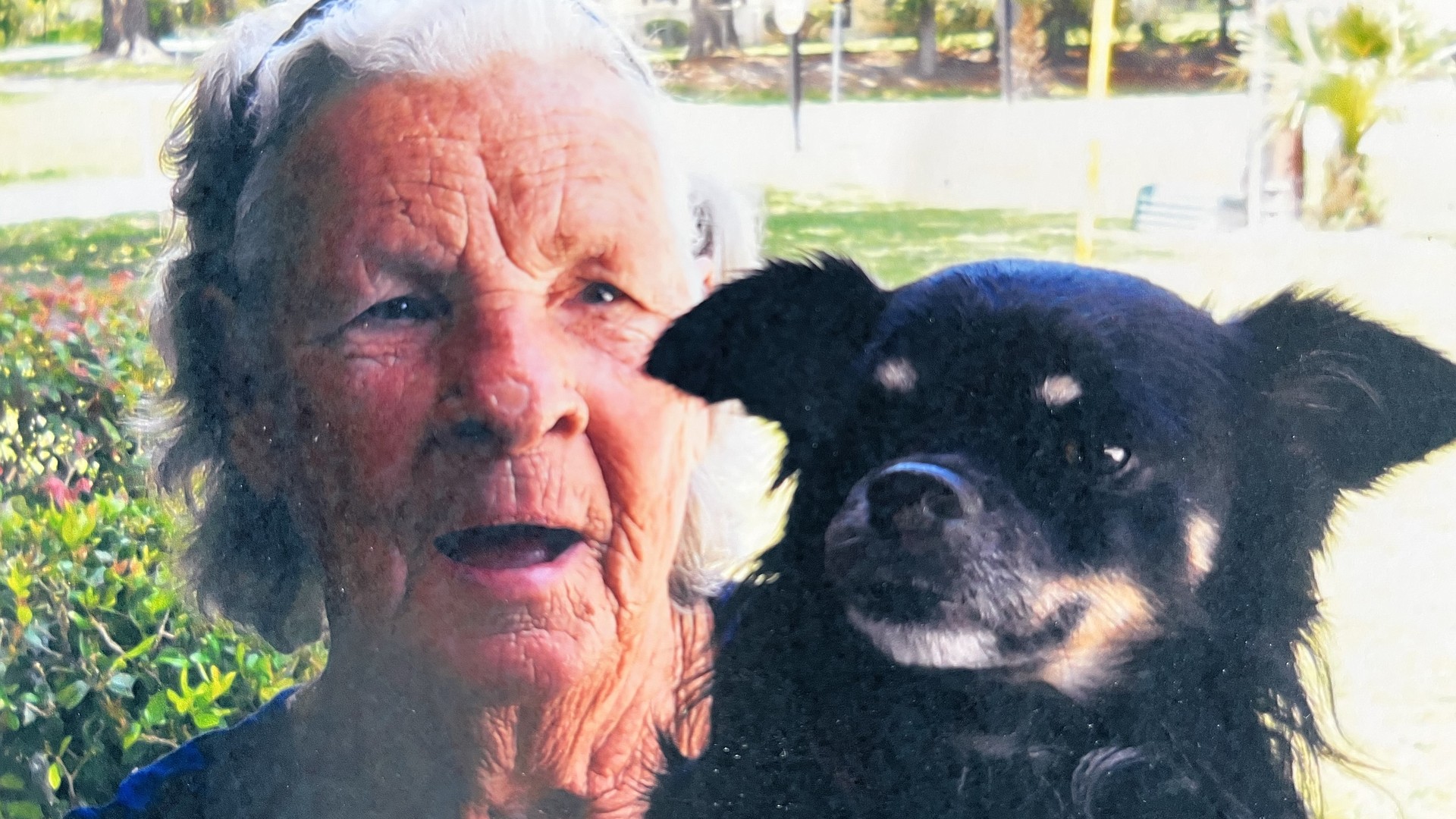 Oakland remembers dog-walker Sarah Mathews | West Orange Times & Observer