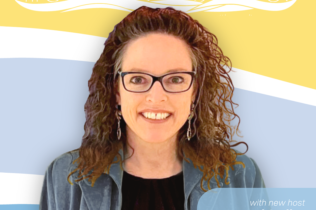 Anne Schindler named permanent host of ‘First Coast Connect’ | Jax ...