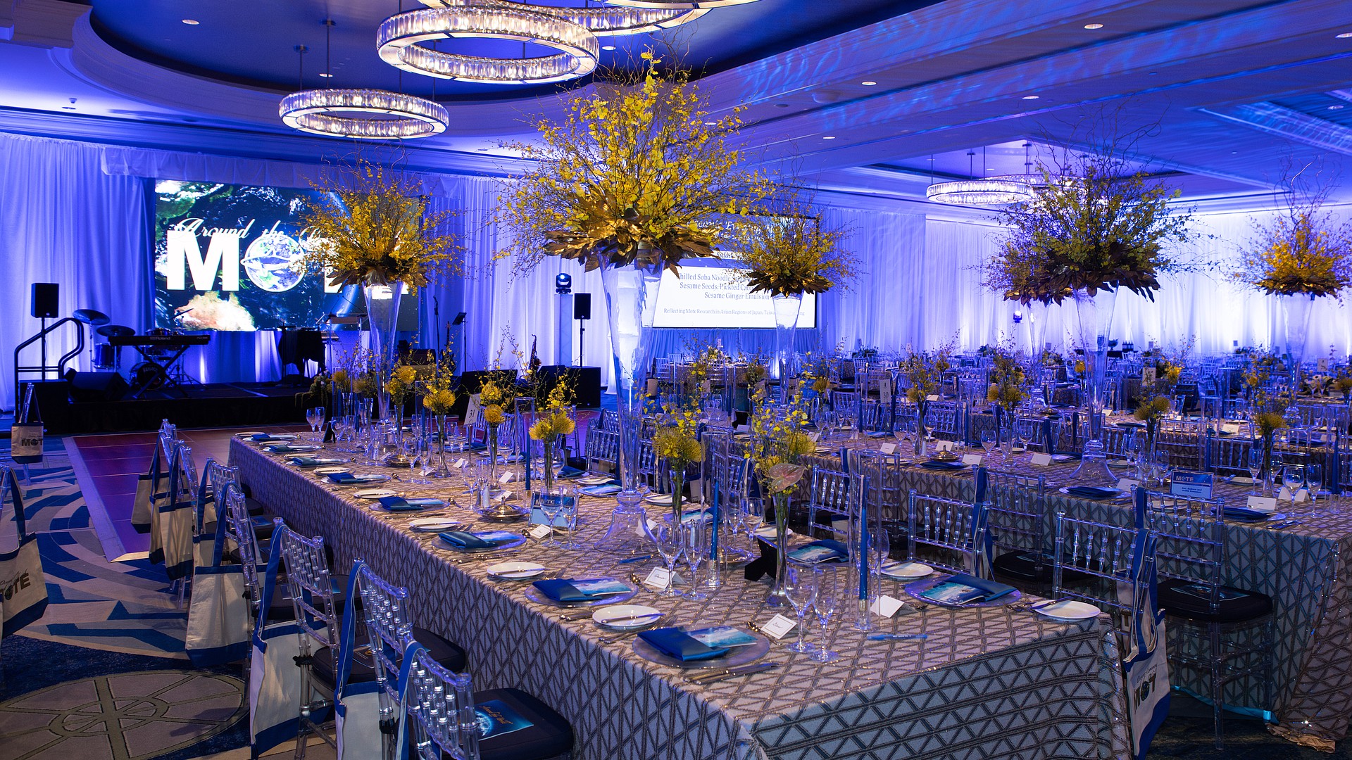 Mote Marine thanks scientists during Oceanic Evening gala | Your Observer