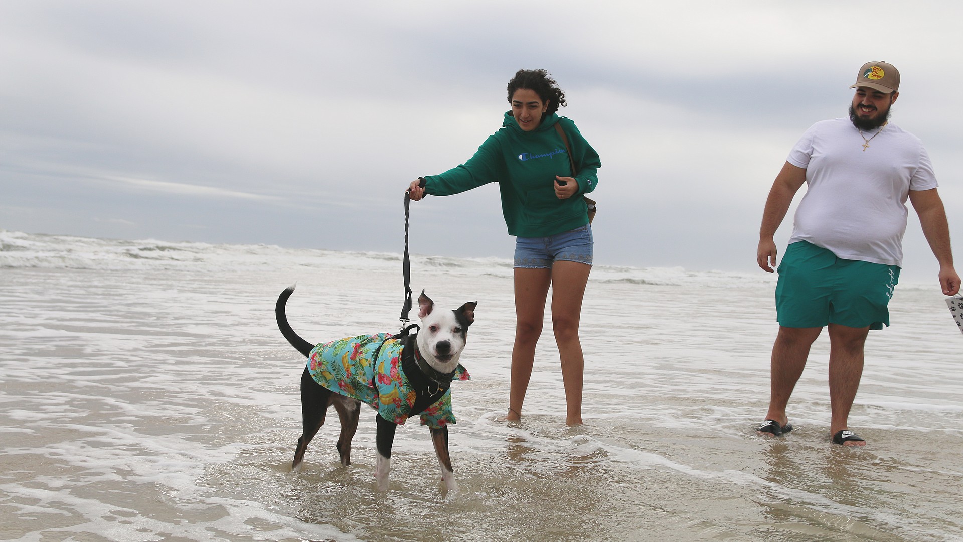 A round of a-paws: Volusia celebrates launch of dog-friendly beach ...
