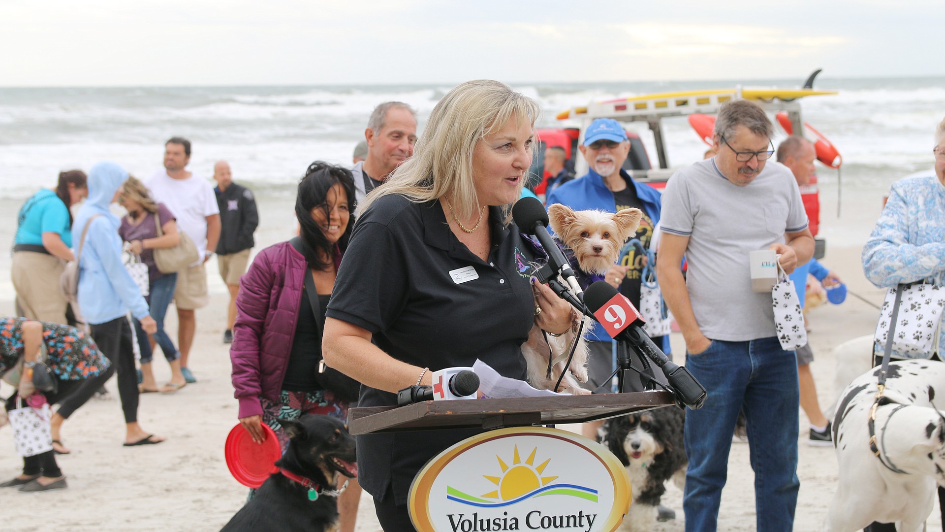 A round of a-paws: Volusia celebrates launch of dog-friendly beach ...