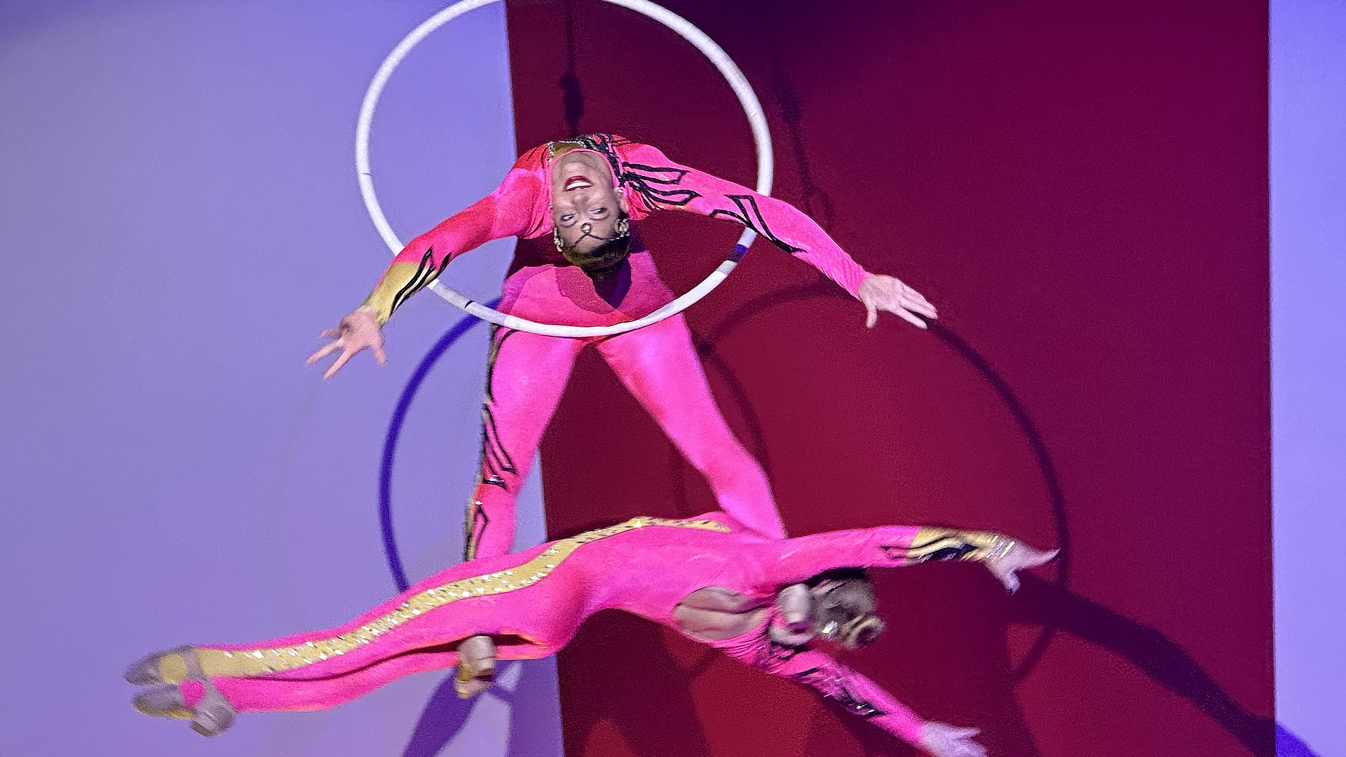 PHOTOS: Venardos Circus 2023 | West Orange Times & Observer