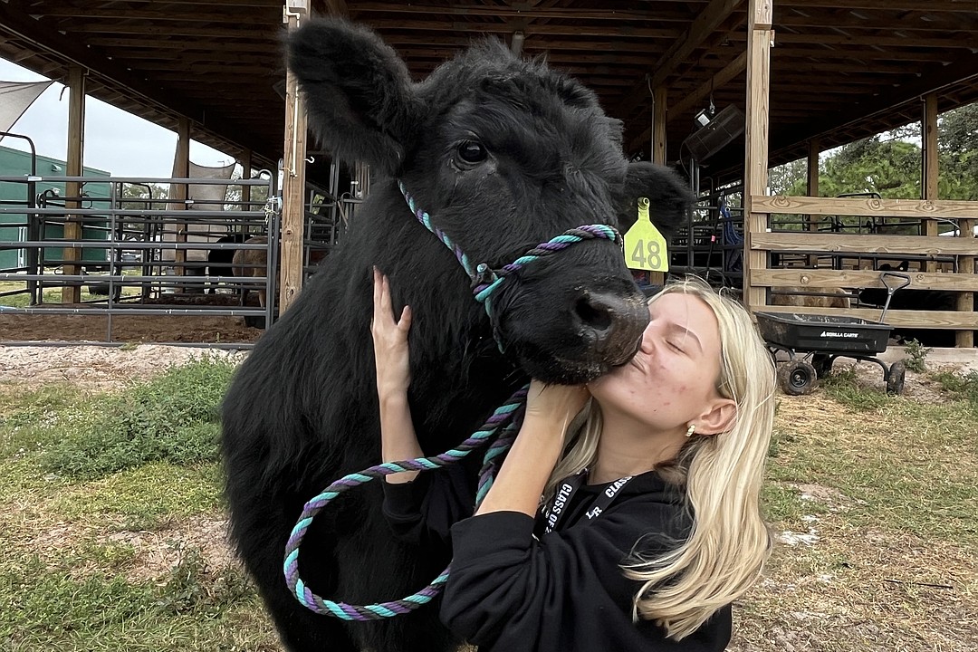 Students pick the perfect name for their Manatee County Fair animals ...