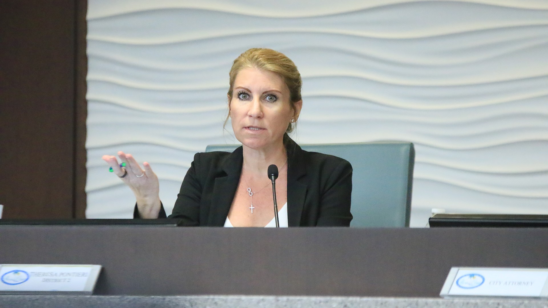 Palm Coast says no to moratorium, creates Citizens Advisory Committee ...