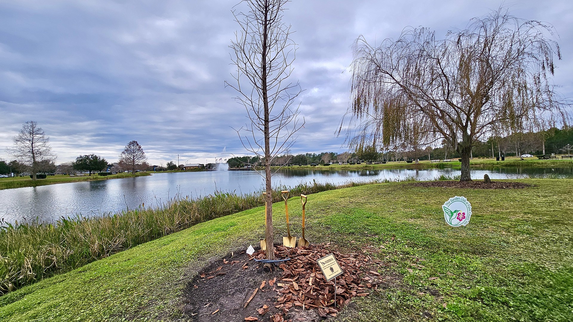 Garden Club at Palm Coast plants tree for Federation of Garden Clubs's ...