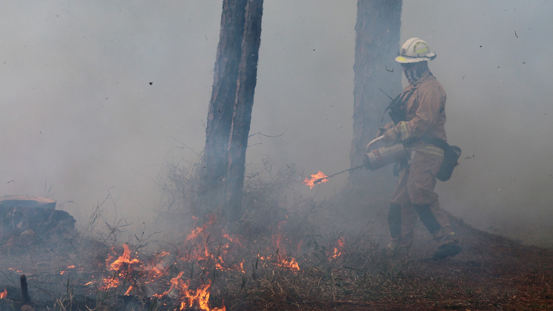 Volusia County Fire Rescue leads inter-agency wildfire training academy ...
