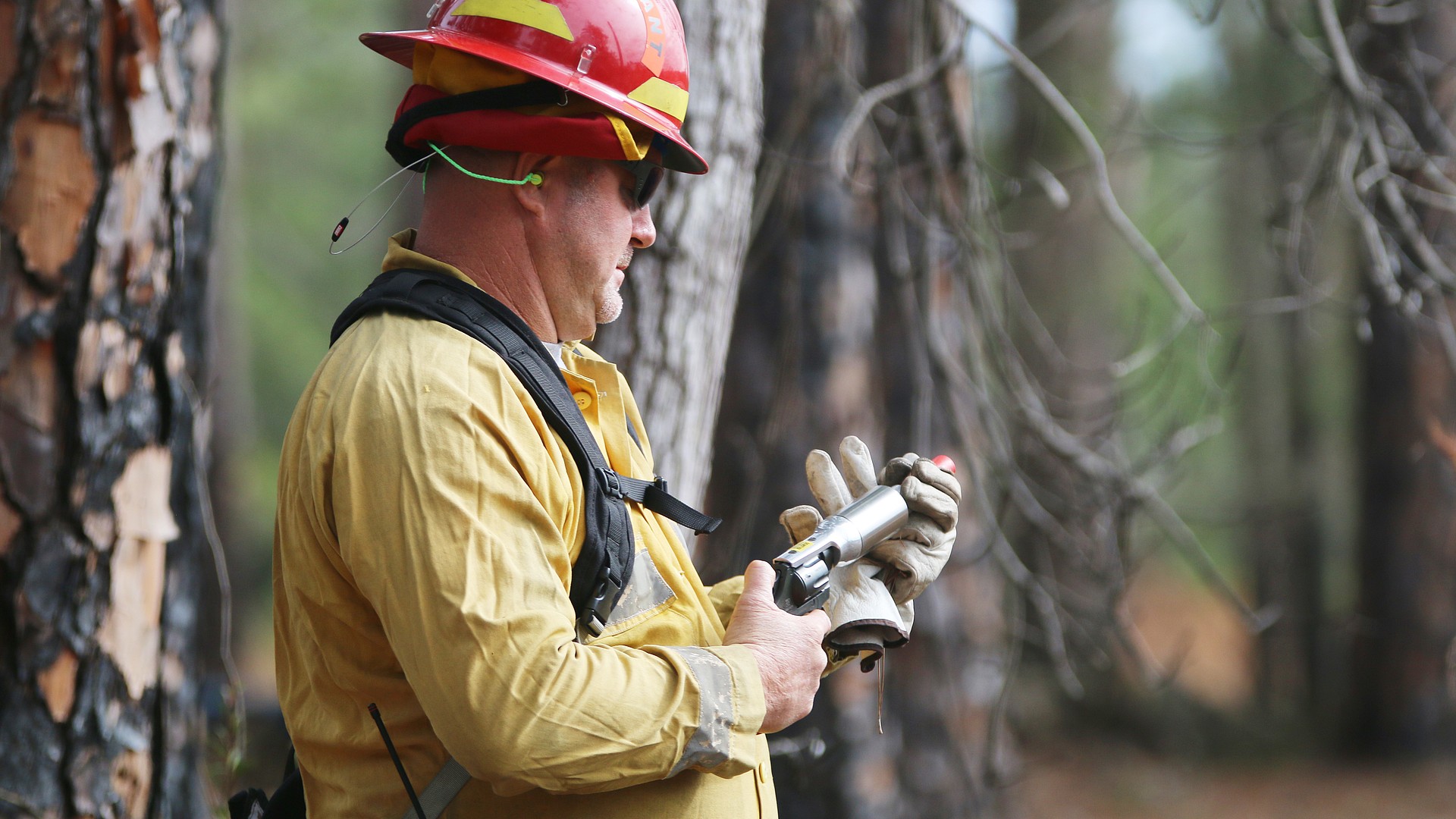 Volusia County Fire Rescue leads inter-agency wildfire training academy ...