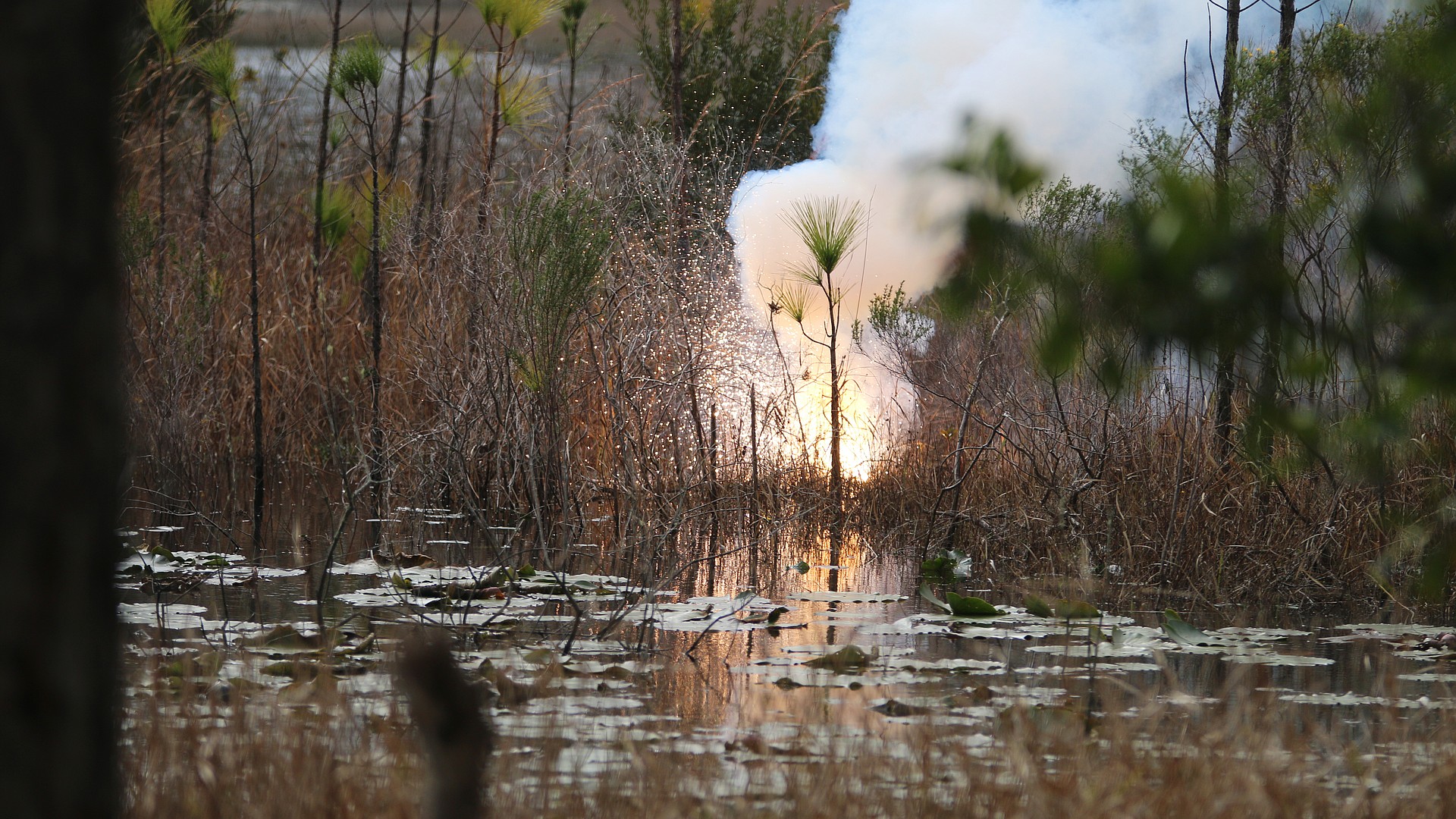 Volusia County Fire Rescue leads inter-agency wildfire training academy ...