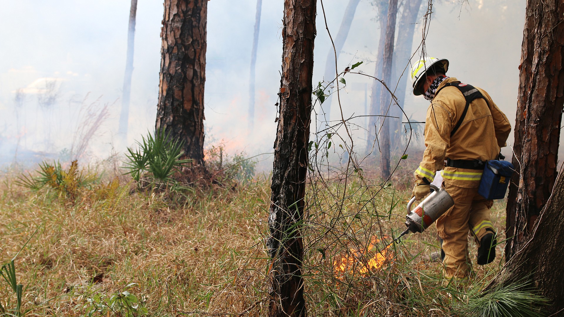 Volusia County Fire Rescue leads inter-agency wildfire training academy ...