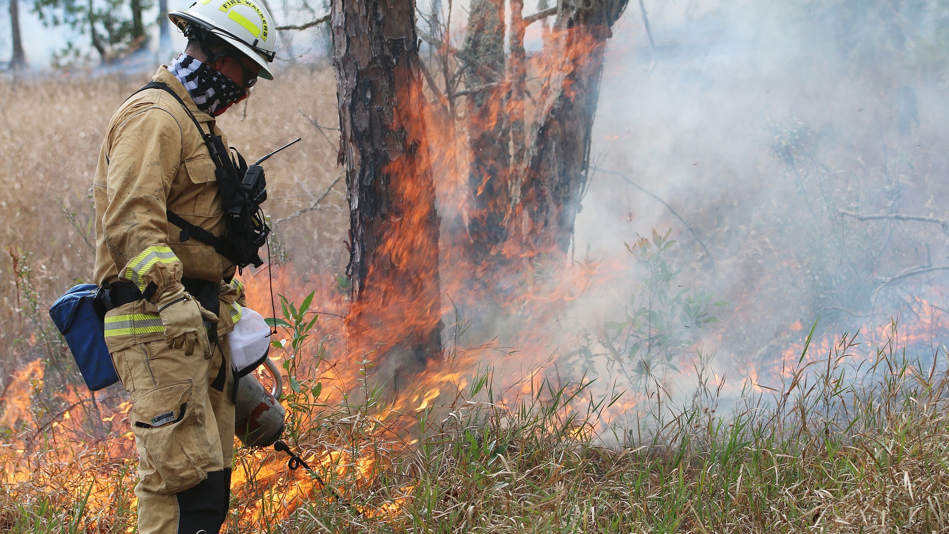 Volusia County Fire Rescue leads inter-agency wildfire training academy ...