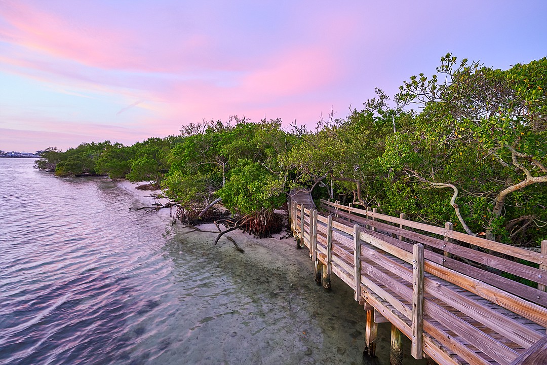 Quick Point Nature Preserve gets boardwalk repairs, new signage | Your ...