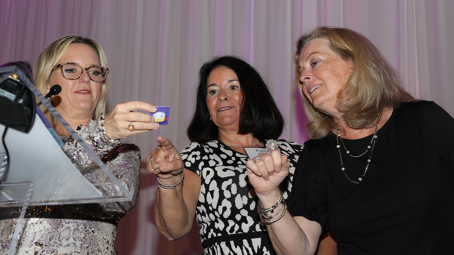 Tidewell Foundation holds luncheon with laughter, tears and Marilu ...