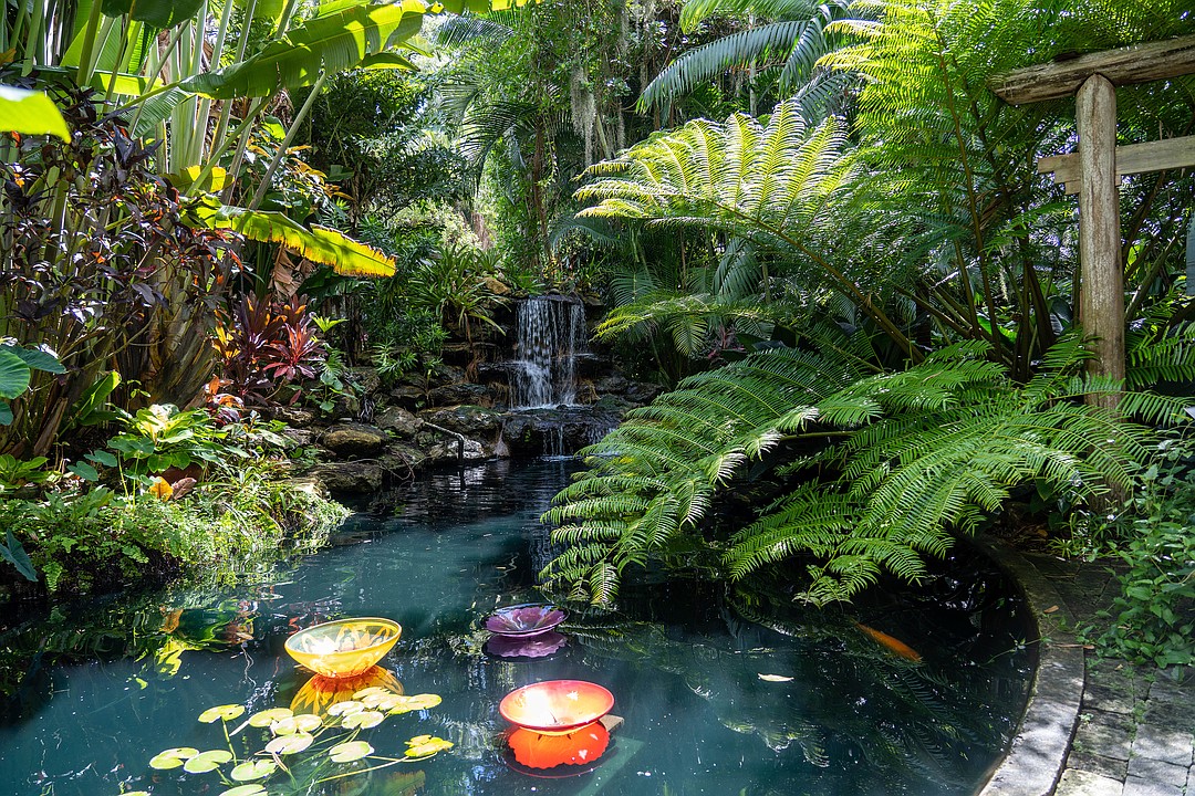 Selby Botanical Gardens named one of 'World's Greatest Places' | Your ...