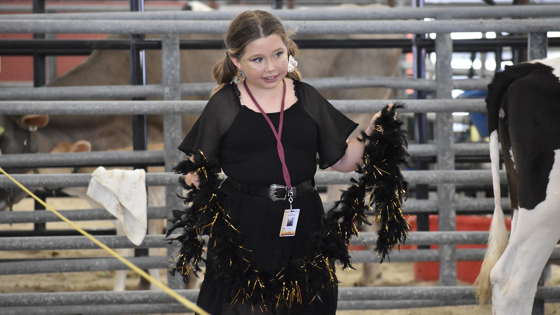 Cows get into costume at Sarasota County Fair | Your Observer