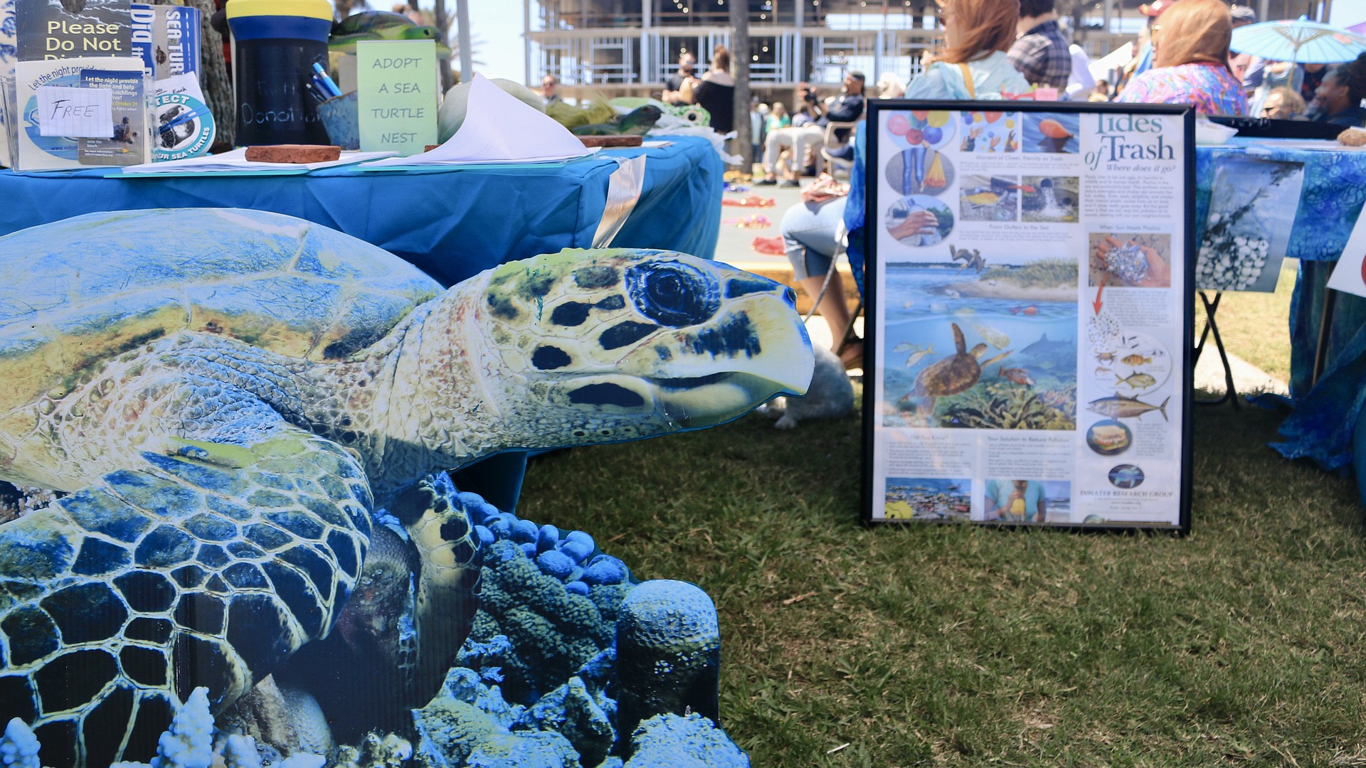 Turtle Fest 2024 releases 90-pound rescued loggerhead | Observer Local ...