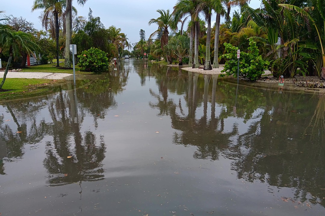 Money moves ahead for flood resilience project in Longboat neighborhood ...