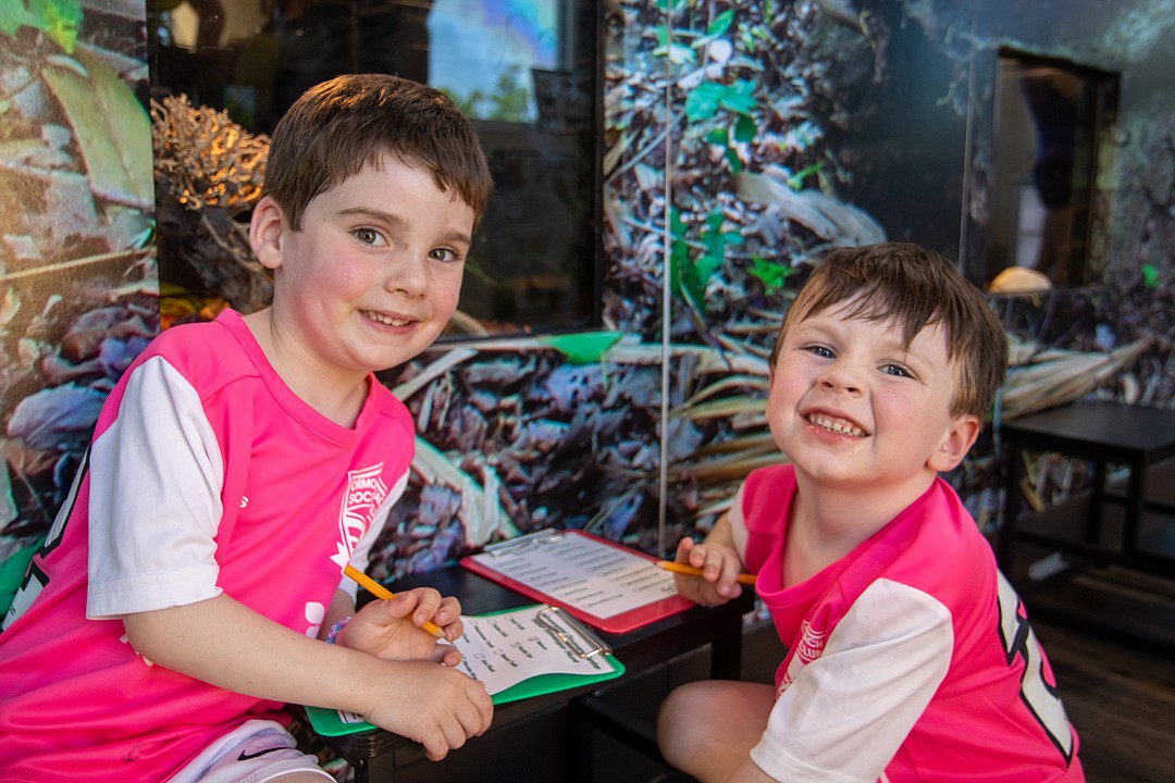 Free trees: Ormond Beach Environmental Discovery Center celebrates ...