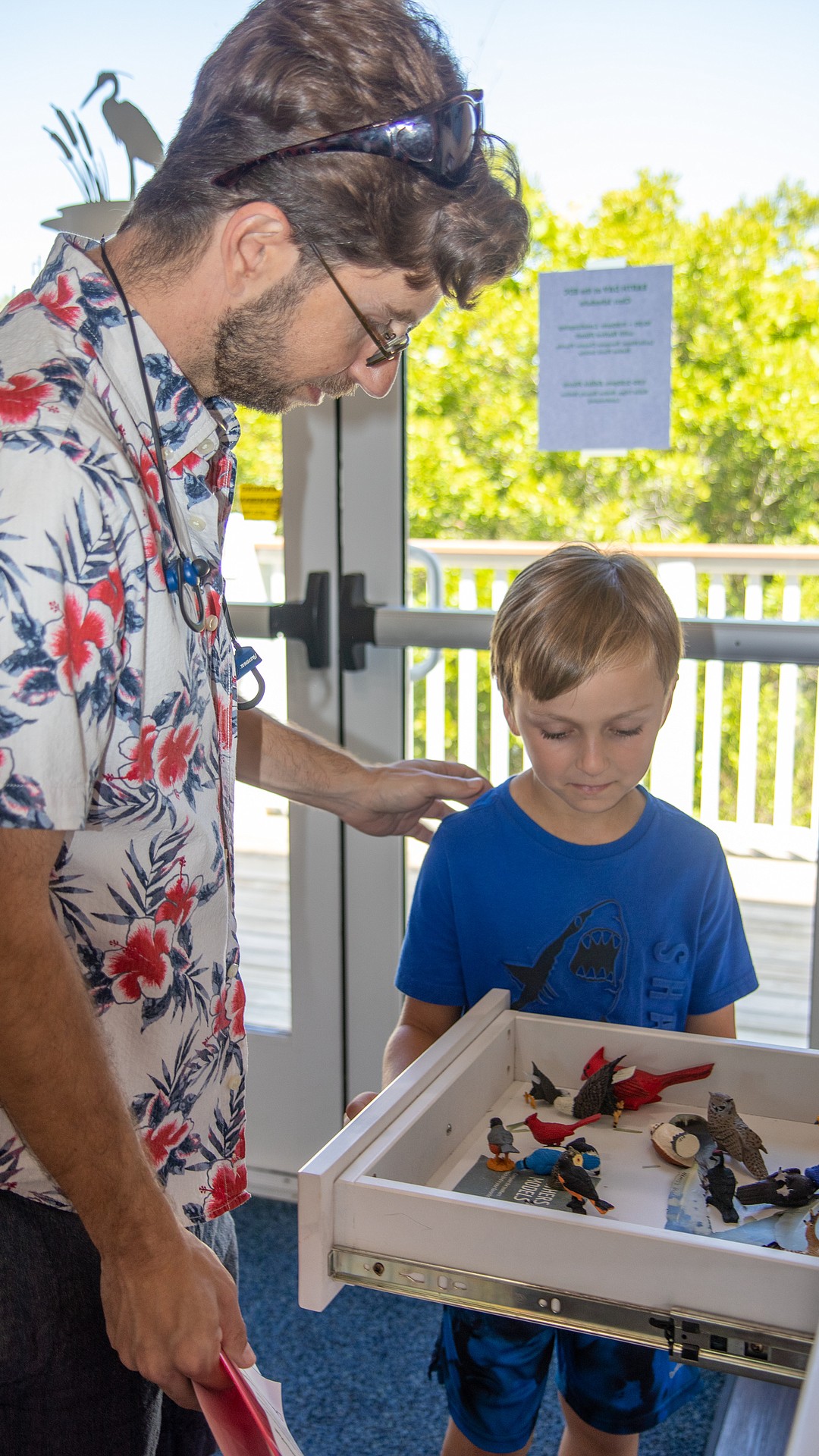 Free trees: Ormond Beach Environmental Discovery Center celebrates ...