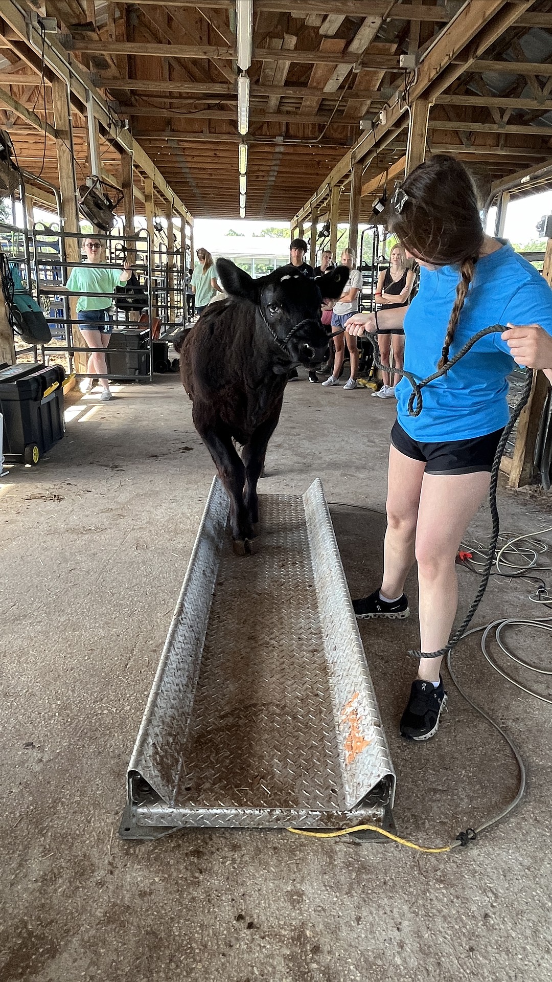 Junior Ranchers program at Lakewood Ranch High helps students grow love ...