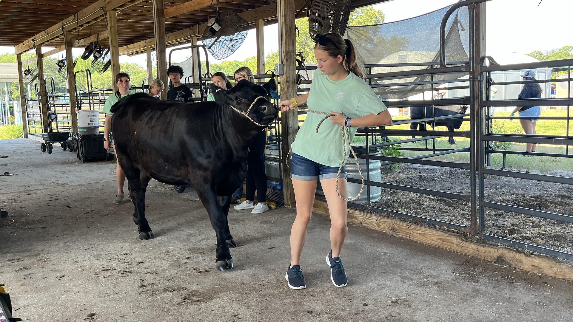 Junior Ranchers program at Lakewood Ranch High helps students grow love ...
