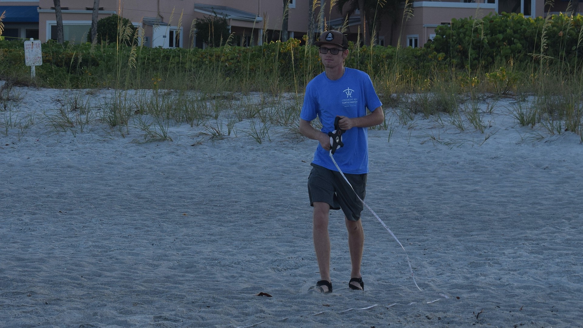 Childhood turtle rescue inspires student to pursue marine biology ...