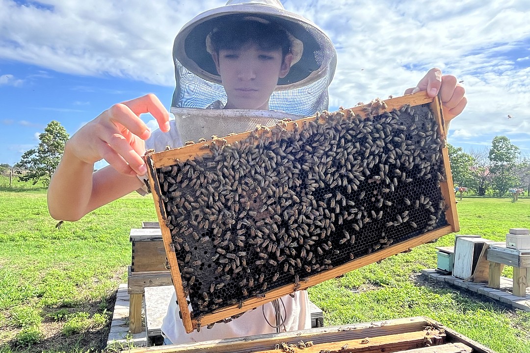 Heritage Bee Farm in Myakka City keeps buzzing along | Your Observer
