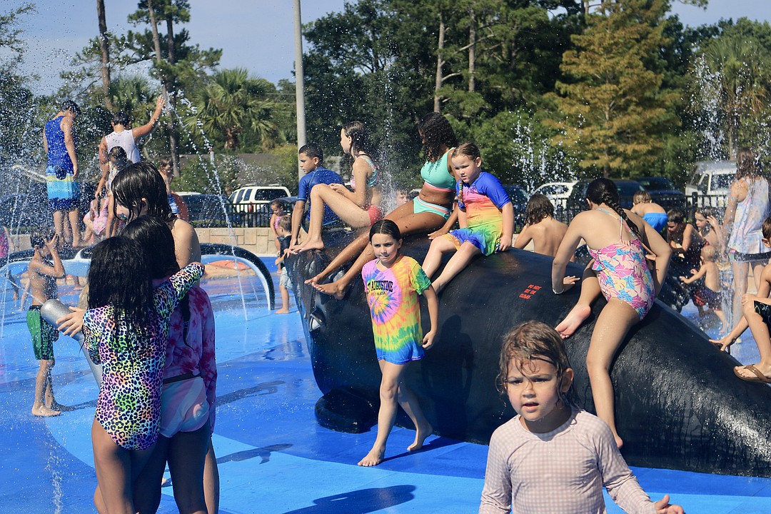 'We have done everything we could': Palm Coast to recoup $2.3 million ...