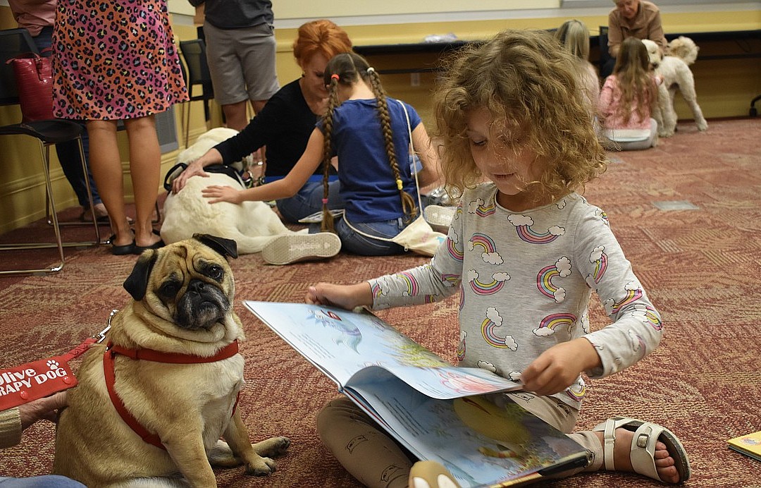 Libraries shift focus from physical collections to community hubs ...